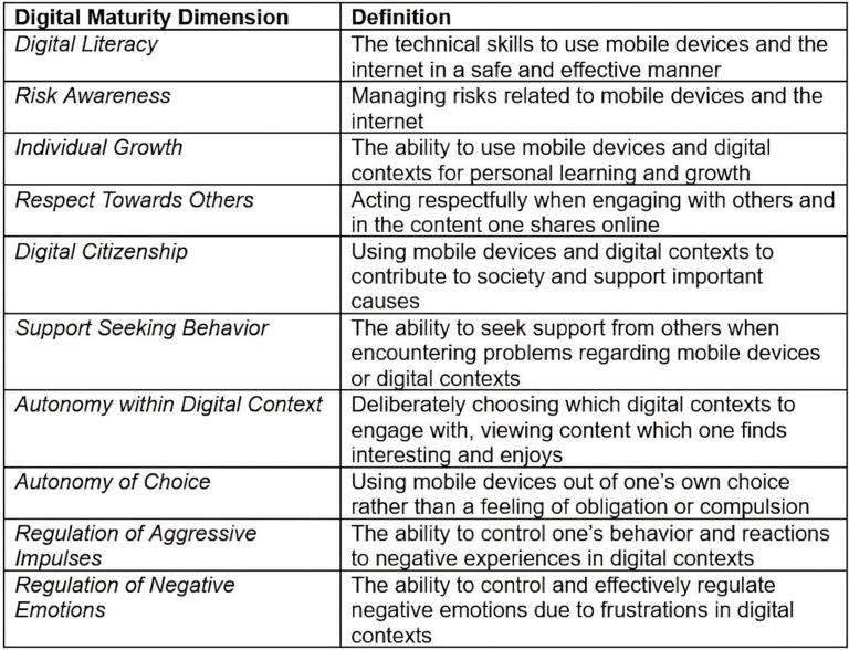 Kids and the internet: How our new tool assesses children's 'digital ...