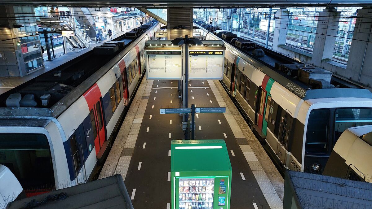 La femme poussée sur les rails du RER B est décédée, le suspect avait fugué d’un hôpital ...