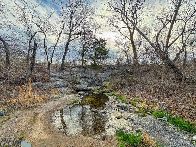 Chickasaw National Recreation Area: Guide to Springs, Waterfalls, Bison ...