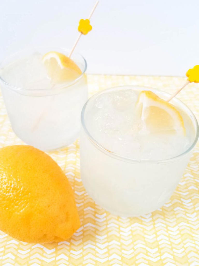 Vodka Lemonade Cocktail Recipe