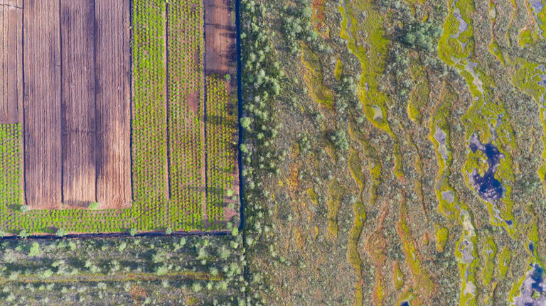 "Unprecedented" Study Shows How Biodiversity Loss Worldwide In All ...