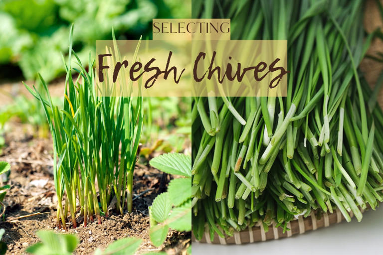 How to Prep, Cook, and Store Fresh Chives