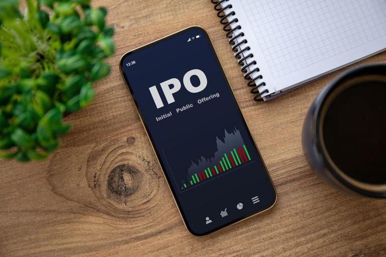 What is an IPO?