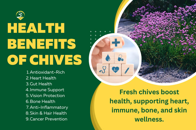 How to Prep, Cook, and Store Fresh Chives