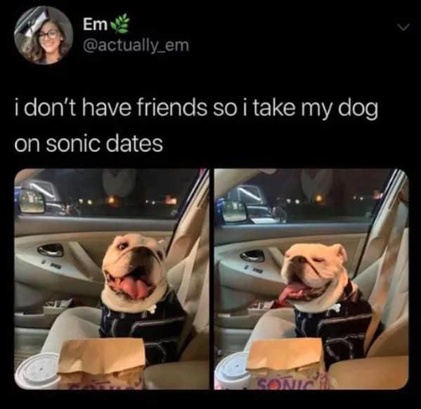 45 Funny Dog Memes For Anyone Who Treats Their Pup Like Royalty