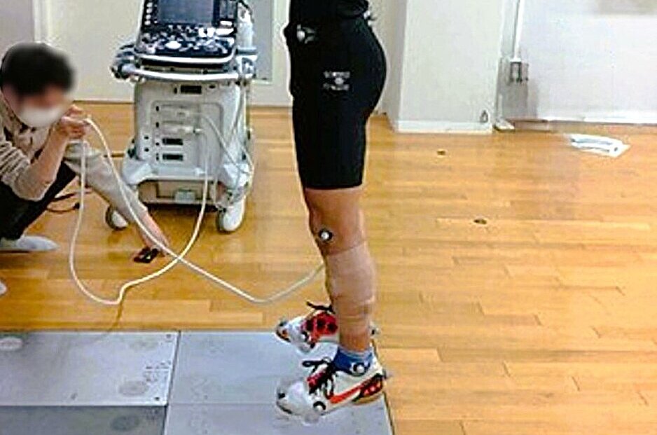 The human leg adjusts stiffness during hopping, revealing a surprising ...