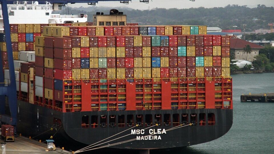 DGFT extends export obligation period for walnut imports, may benefit ...