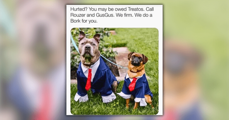 24 of the Best Borking Memes Bringing You Doggo Delight This Morning