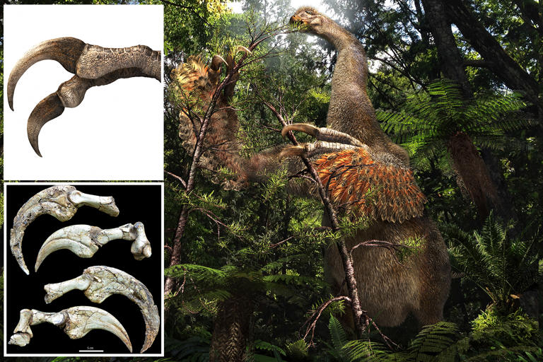 Fossils of weird Mongolian dinosaur that wielded ‘big, sharp and nasty ...