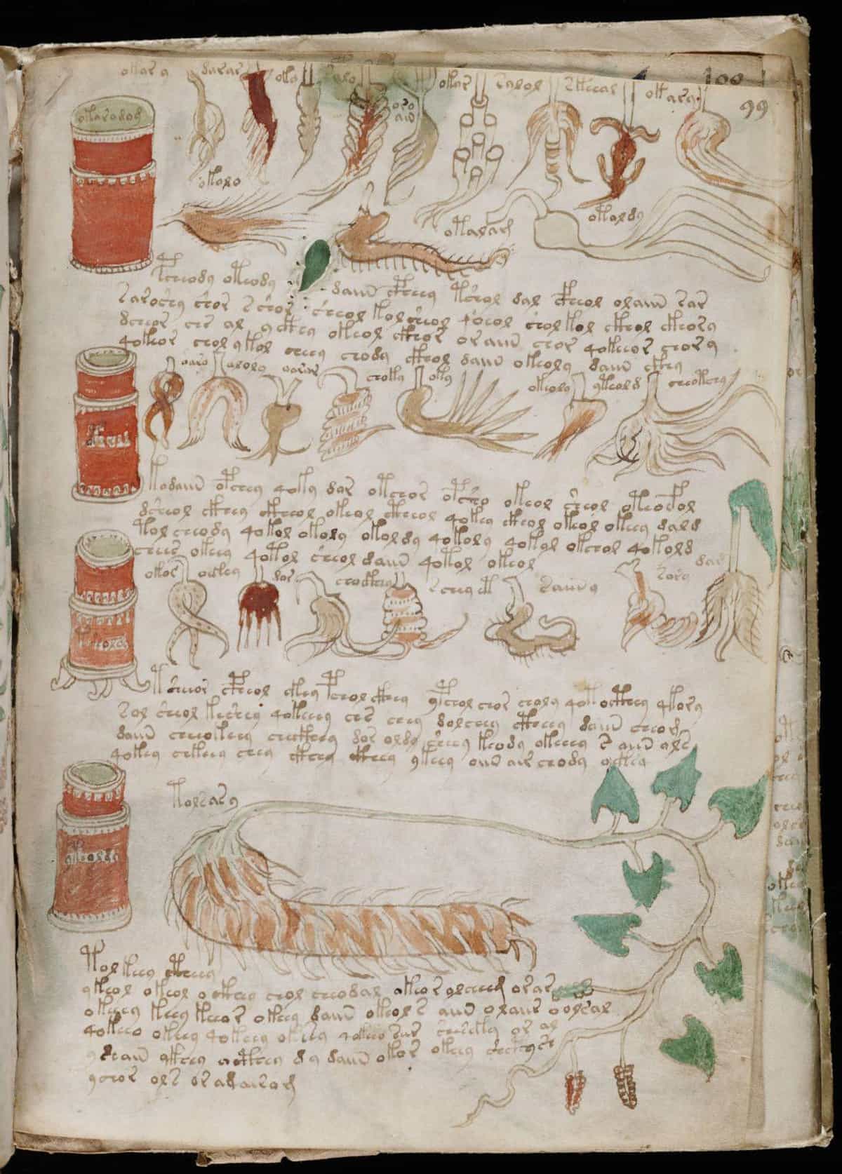 Unsolved Codes and Ciphers That Might Just Be Jokes (Or Even Gibberish)