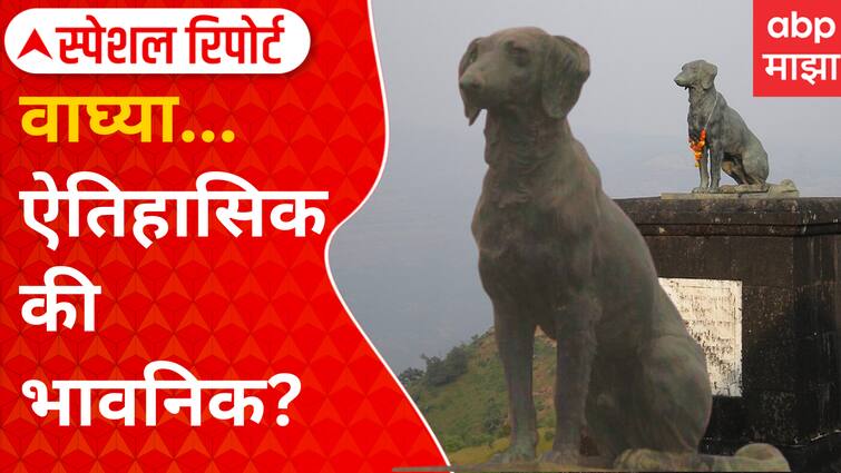 Special Report | Waghya Dog | वाघ्या...ऐतिहासिक की भावनिक? वाघ्या ...