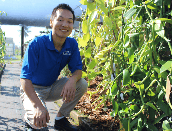 Free Workshop Explores Vanilla Cultivation In Florida, Puerto Rico, And ...