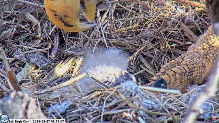 Lucid Recalls Over 4,000 Floor Mats Over Unintended Acceleration Risk