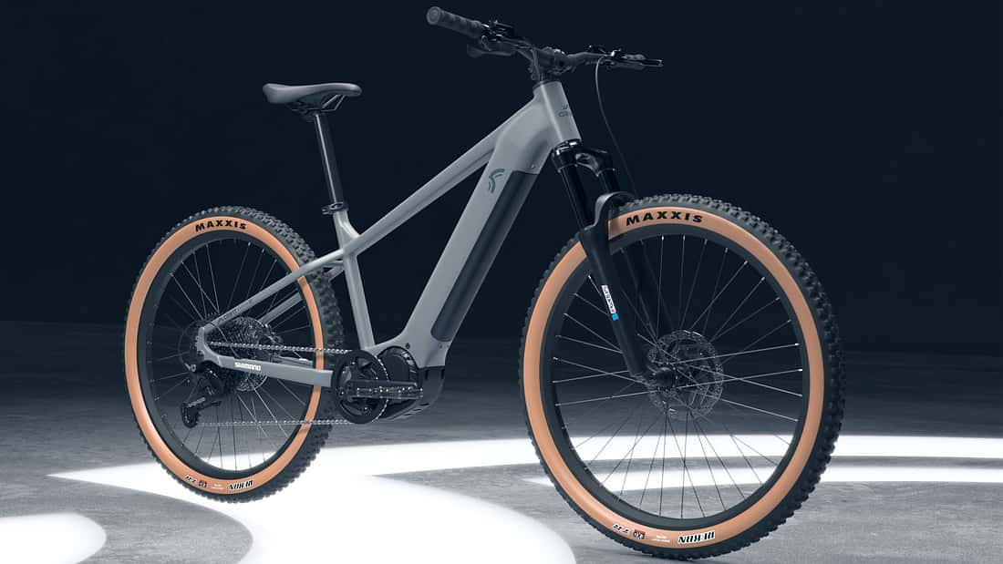 Crivit E-MTB Peak 709 mit 100-Nm-Motor!: Lidl-E-MTB zum Kampfpreis