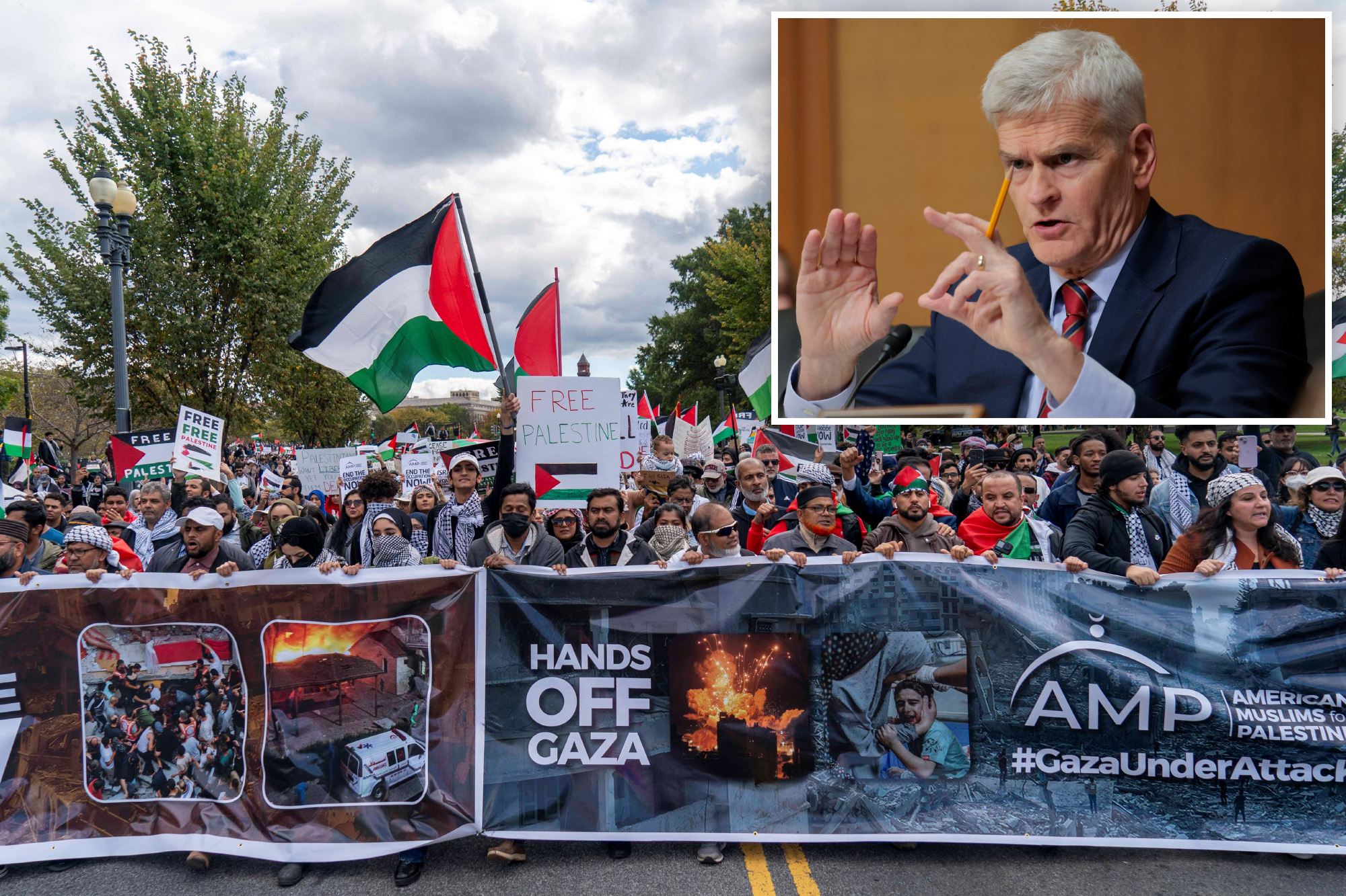 Senate GOP chair launches probe into American Muslims for Palestine for ...