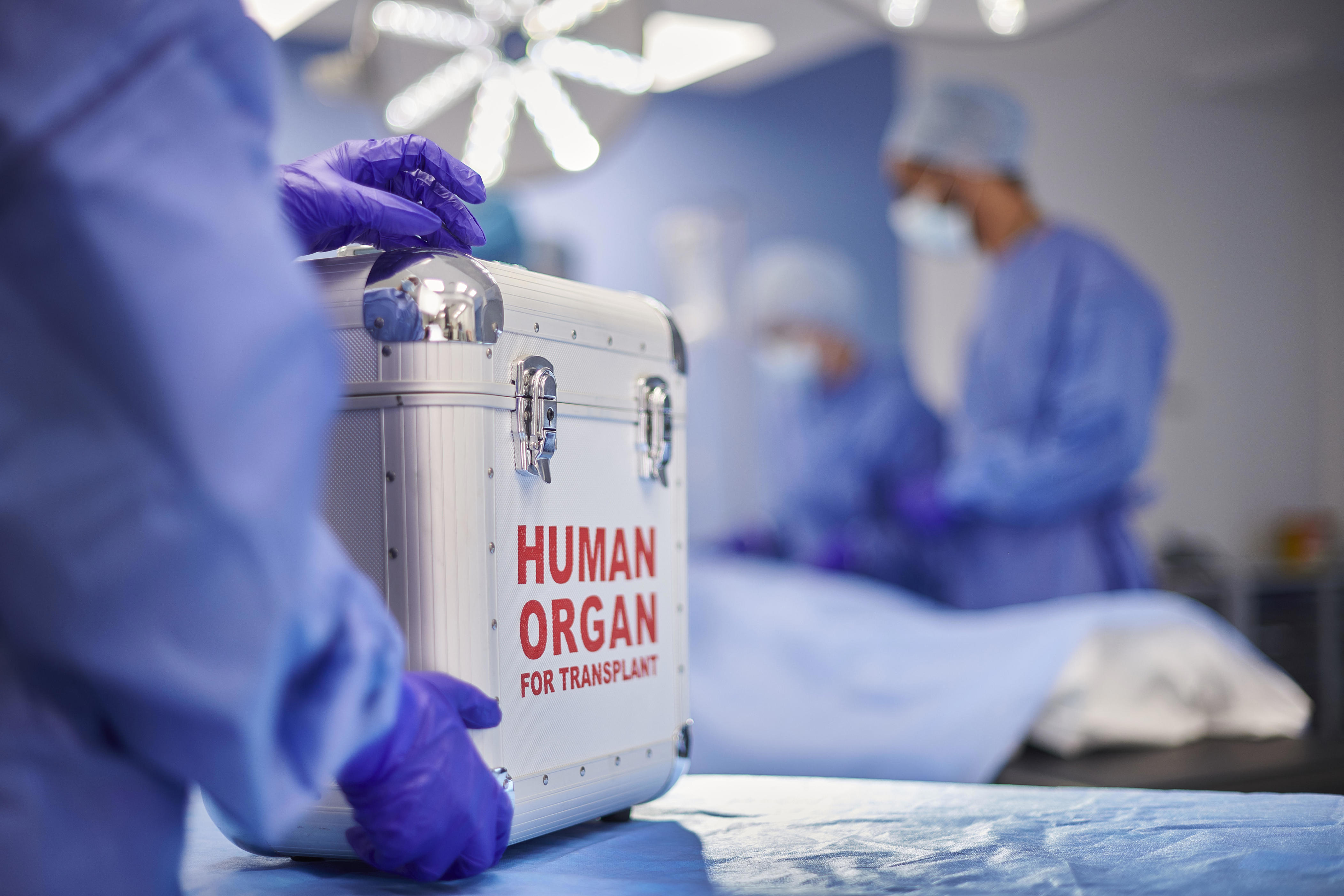 Patient Dies After Getting Rabies From A Transplanted Organ