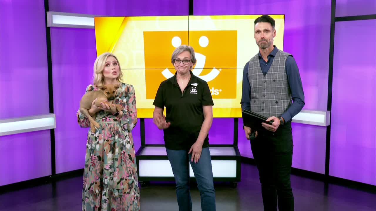 Puppy "Dos & Don'ts" from Best Friends