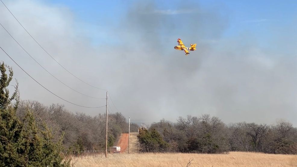 State Forester ousted; Gov. Stitt cites poor response to devastating ...