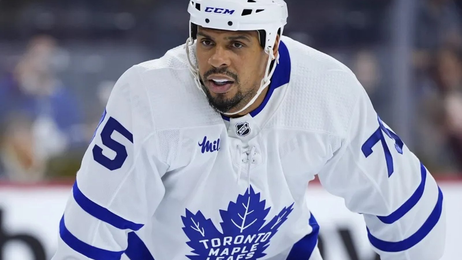 Ryan Reaves hits rock bottom in the AHL…