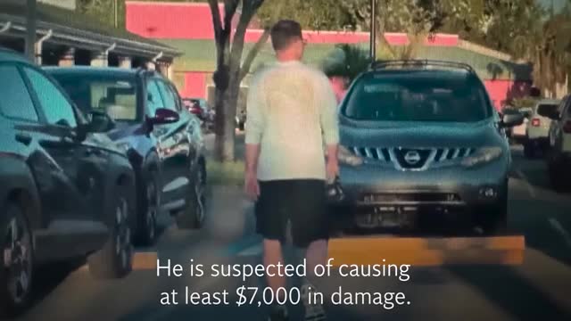 Video: Suspected Tesla vandal appears to damage vehicle at Florida ...