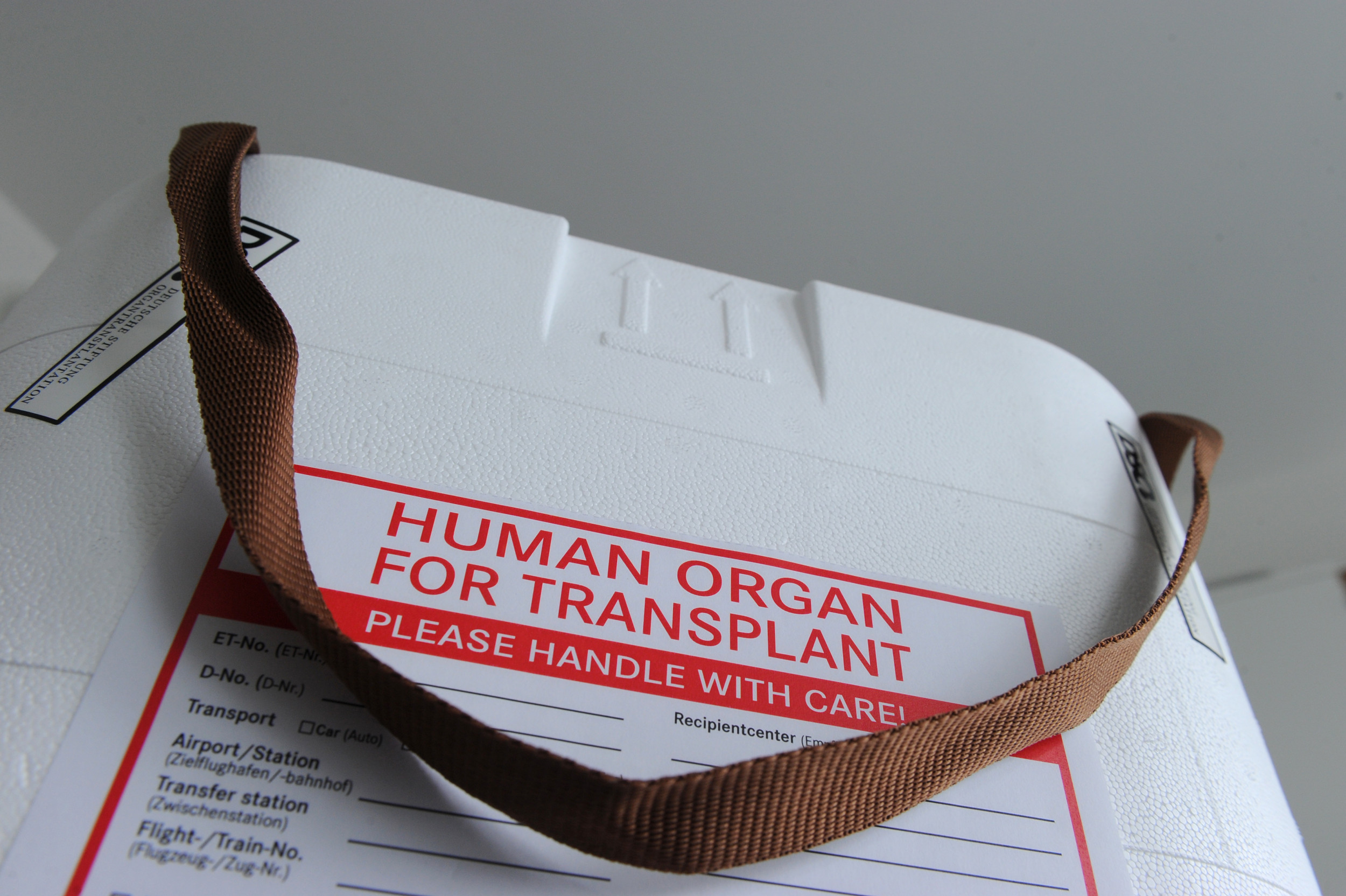 Patient Gets Rabies From Organ Transplant