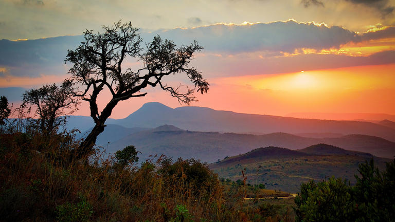 Ripple and Chipper Cash Partner to Simplify Cross-Border Payments in Africa