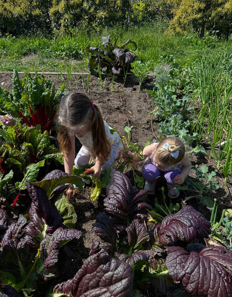 Katherine Schwarzenegger shares rare photo of daughters with Chris ...