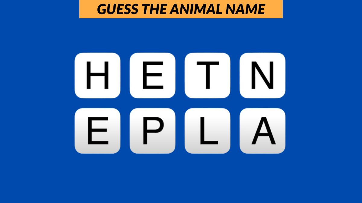 You have a razor-sharp brain if you can guess the animal name in 8 seconds!