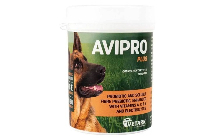 Best probiotics for dogs and why they need them according to a vet
