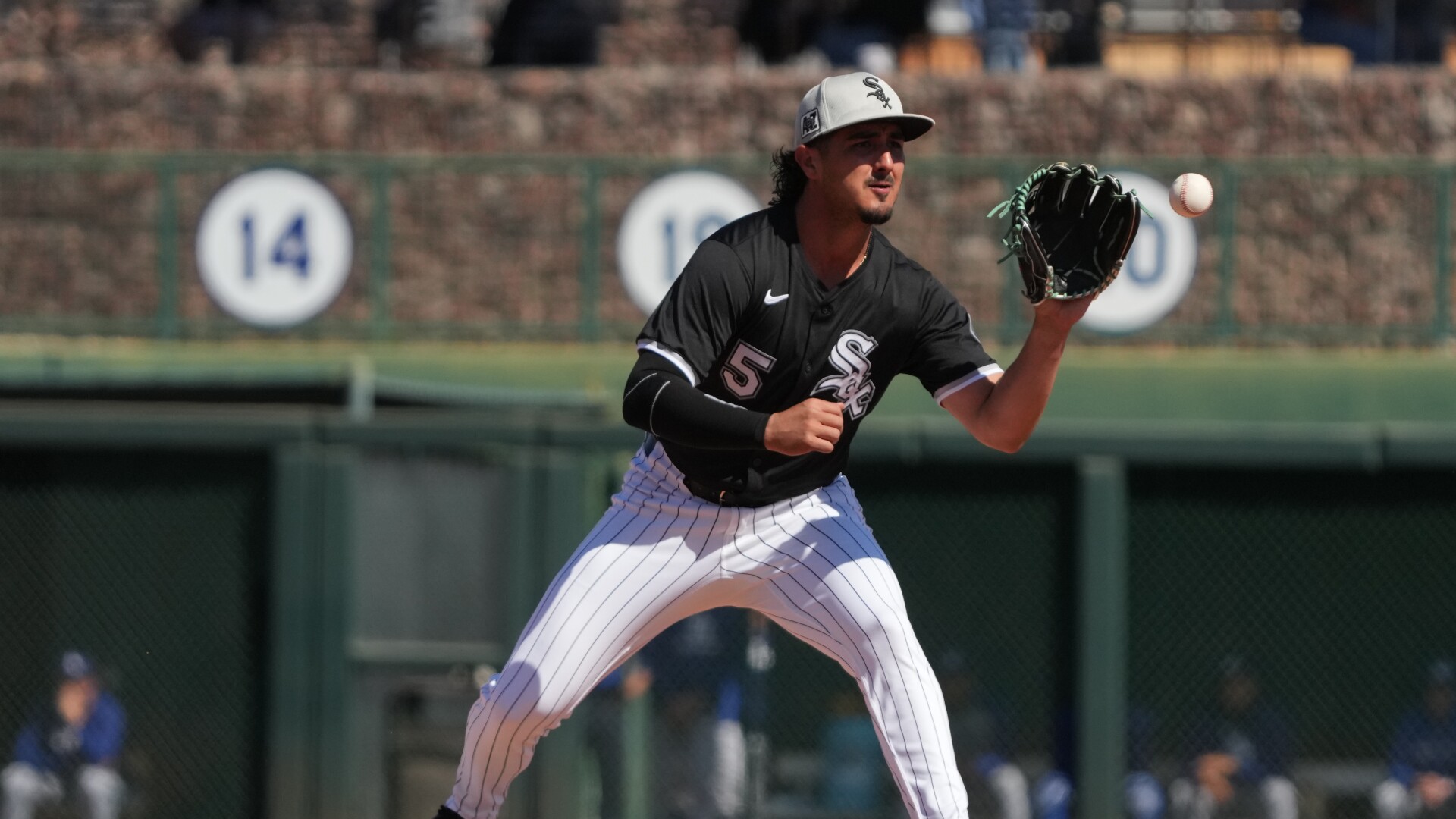 White Sox’s Josh Rojas, Bryan Ramos, Mike Tauchman placed on 10-day ...