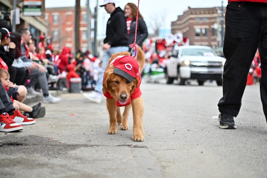 Photos: Cincinnati Reds’ Opening Day parade