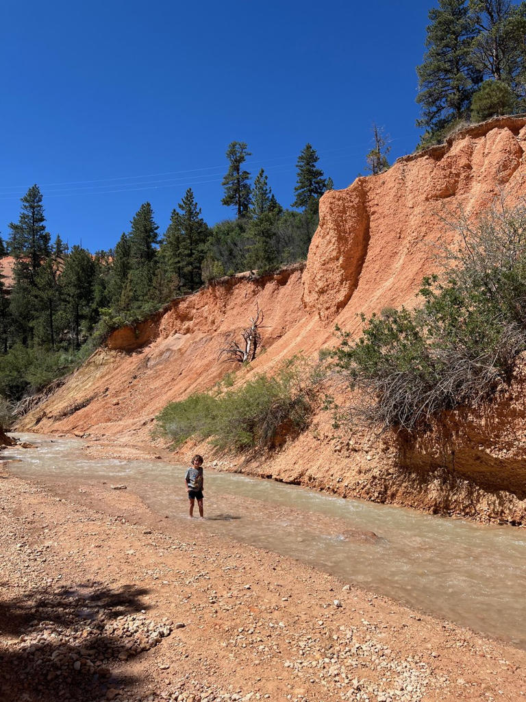 Mossy Cave Trail in Bryce Canyon National Park: A Guide