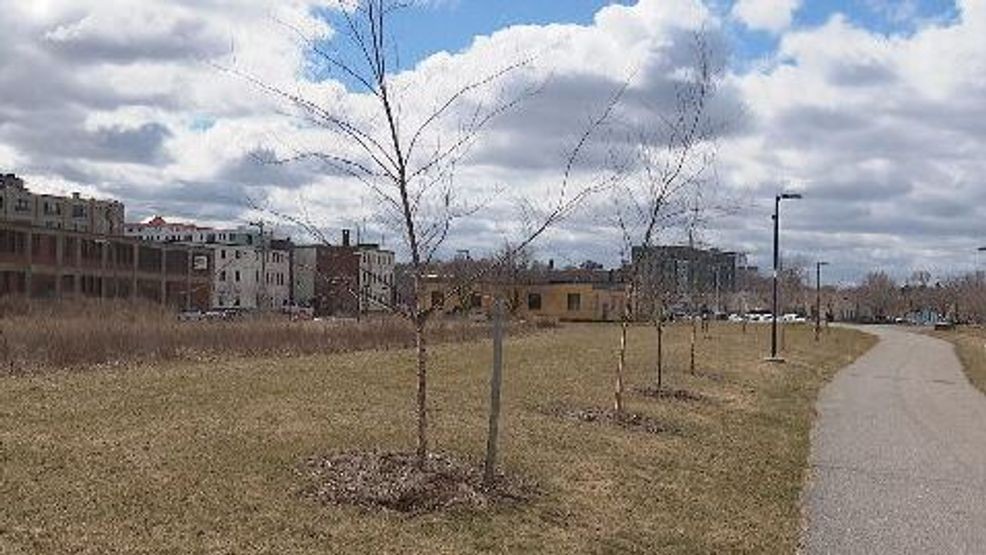 Portland tree program offers residents chance to enhance their property