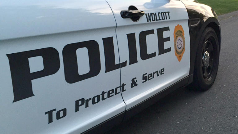 Dead dog found in Wolcott woods, animal advocacy group offer reward for ...