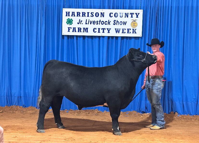 East Texas Farm City Week held in Harrison County