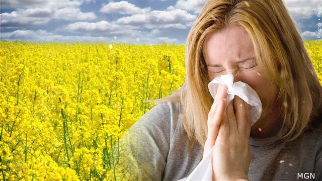 Tips and Tricks to battling allergy symptoms
