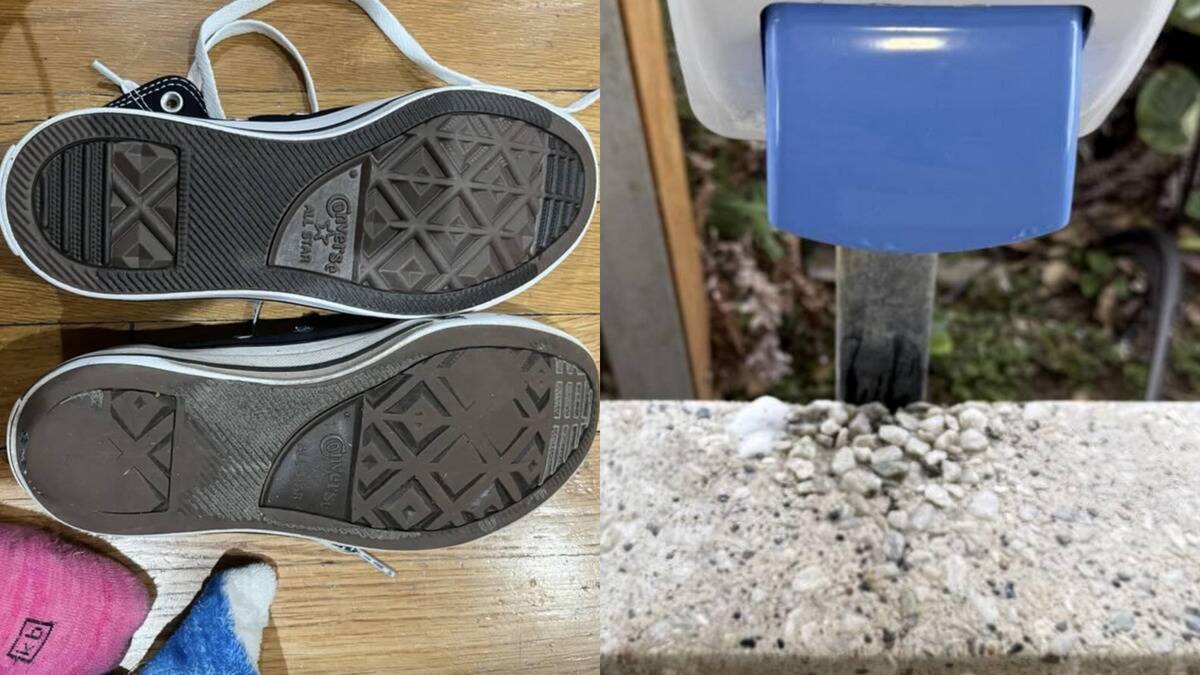 Reddit Users Share Fascinating Photos That Perfectly Illustrate The ...