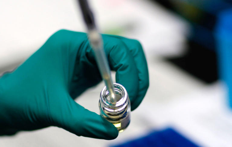 Fruits of Decades of AIDS Vaccine Research Imperiled by Trump’s ...