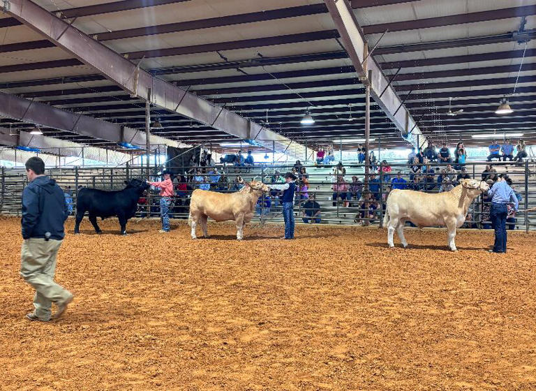 East Texas Farm City Week held in Harrison County