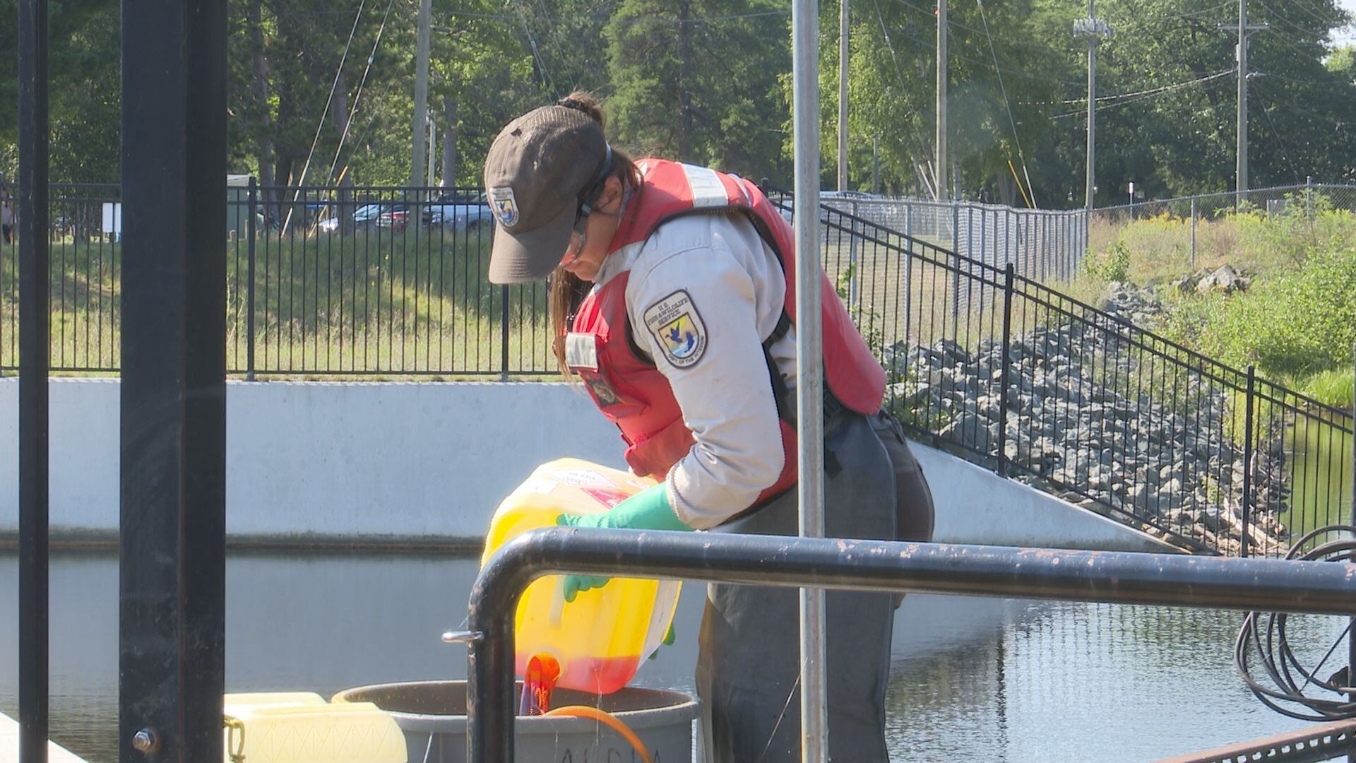 Annual sea lamprey assessment to begin in UP next month