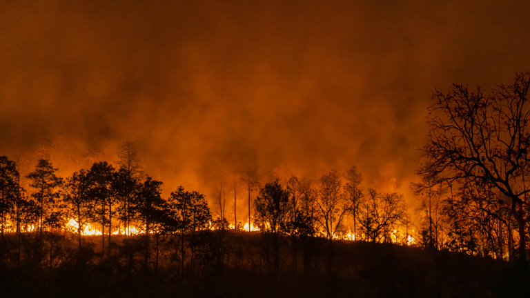 Carolina Wildfire Map: 140 Fires Rage Across NC and SC, Over 17,600 ...