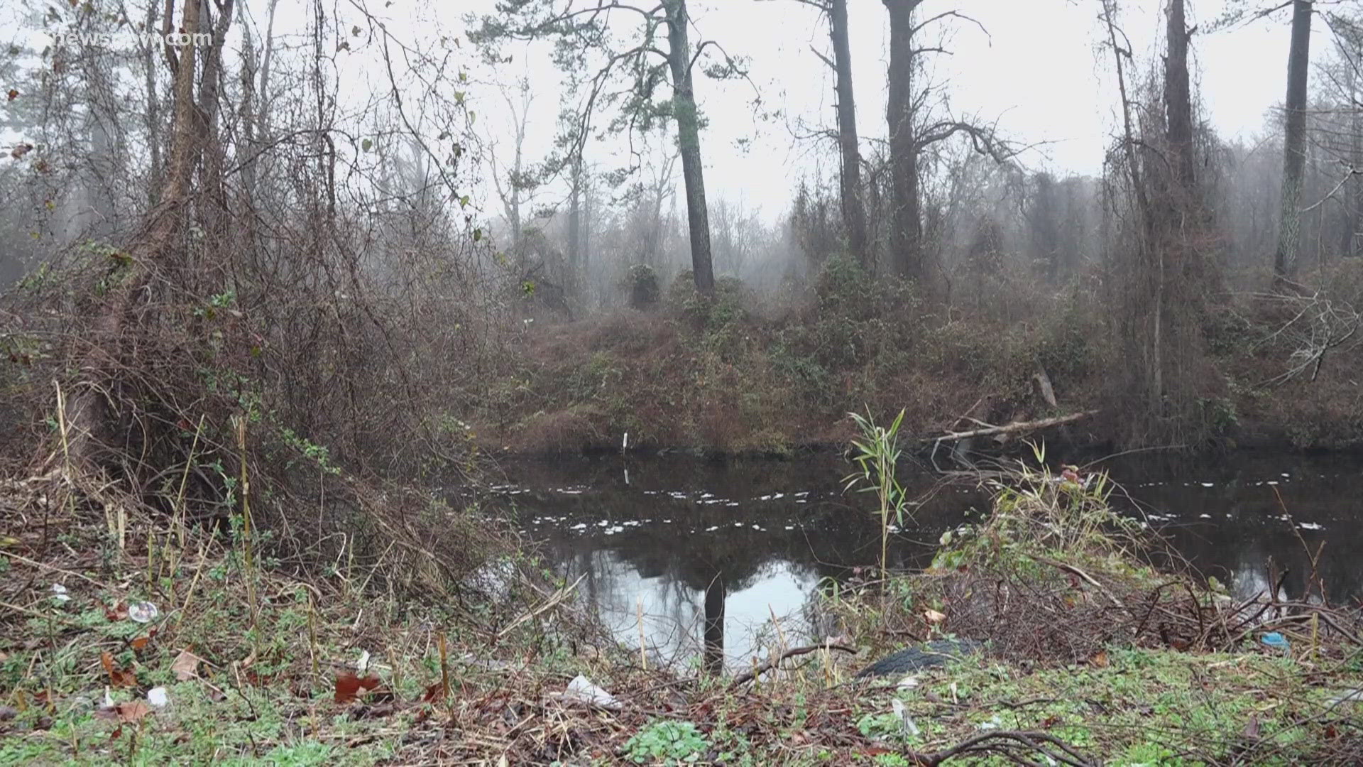 Great Dismal Swamp could become new heritage area