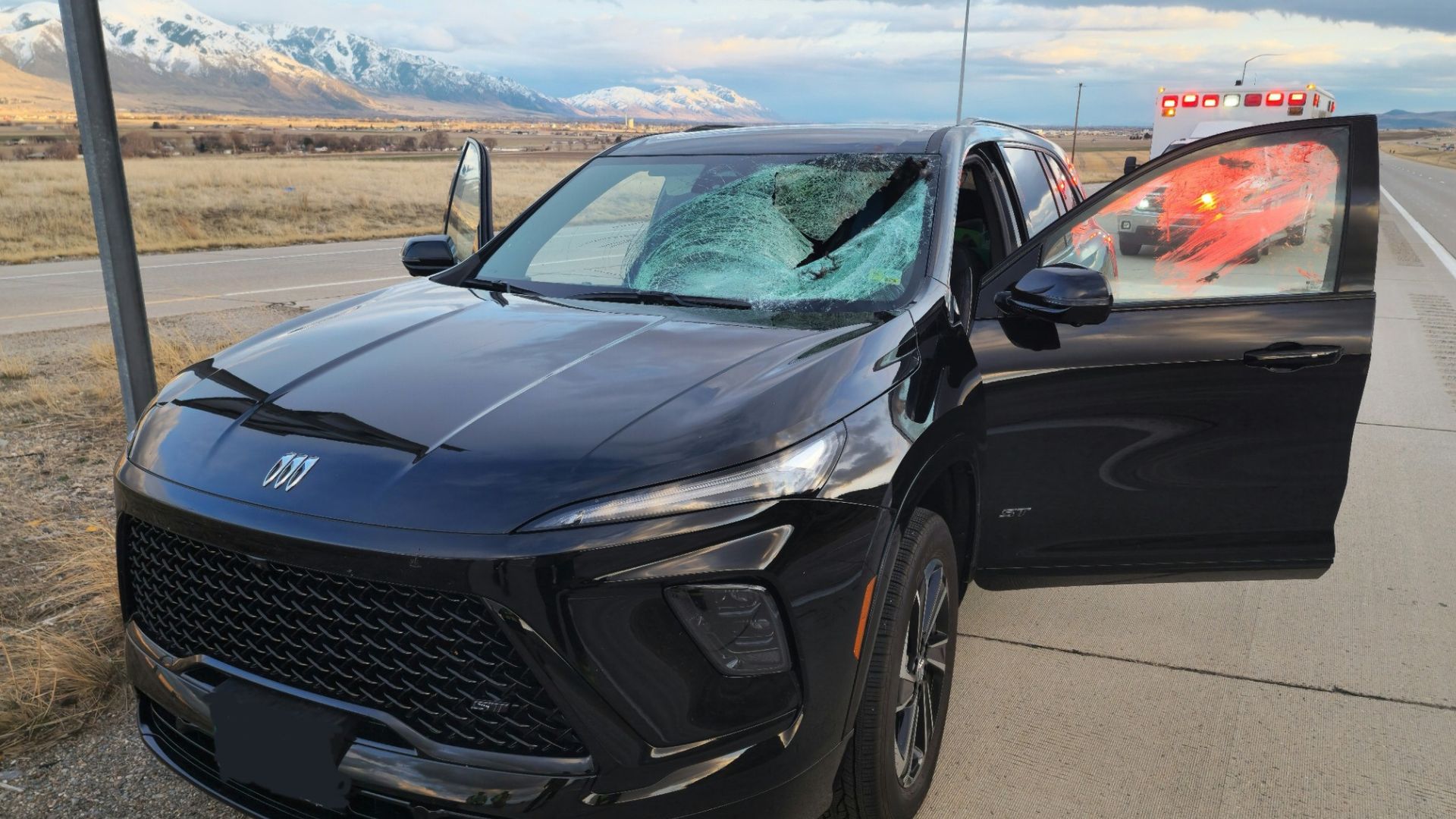 Wild Turkey Slices Through A Car’s Windshield