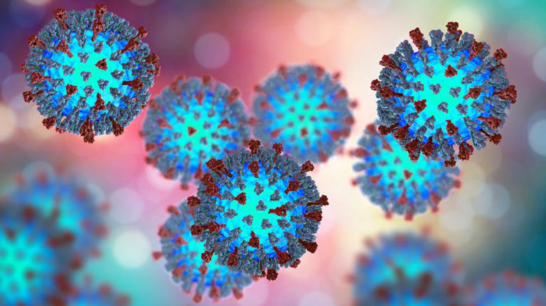 First measles case confirmed in Shelby County First measles case confirmed in Shelby County