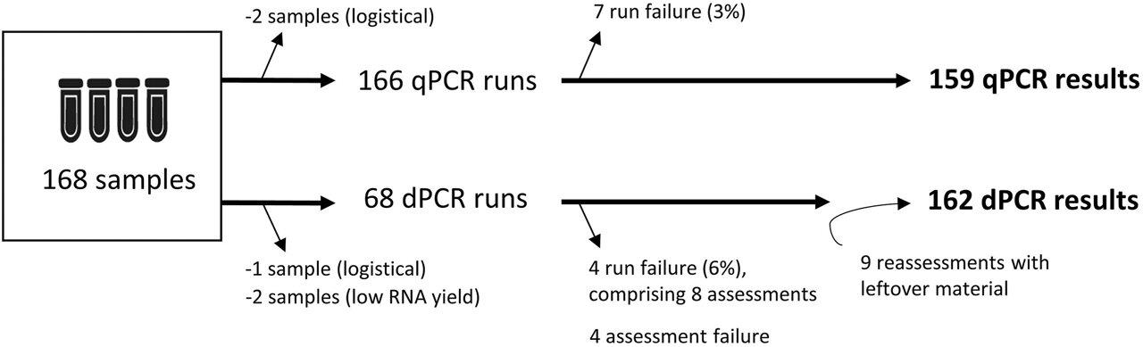 Digital PCR identifies leukemia patients who can stop drug treatment