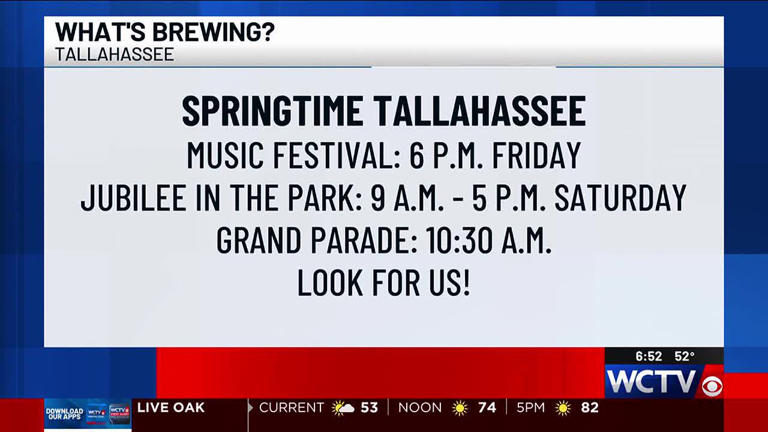 What’s Brewing - Springtime Tallahassee