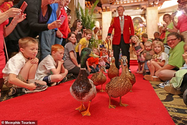 I travelled to America for the most bizarre reason