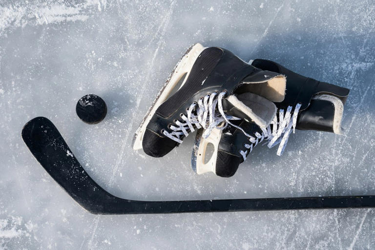 Beer league hockey goalie, 64, dies after being hit in chest with puck ...