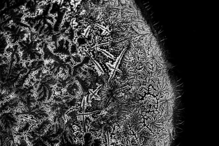 How Yogendra Joshi Used a Canon DSLR to Shoot Human Tears