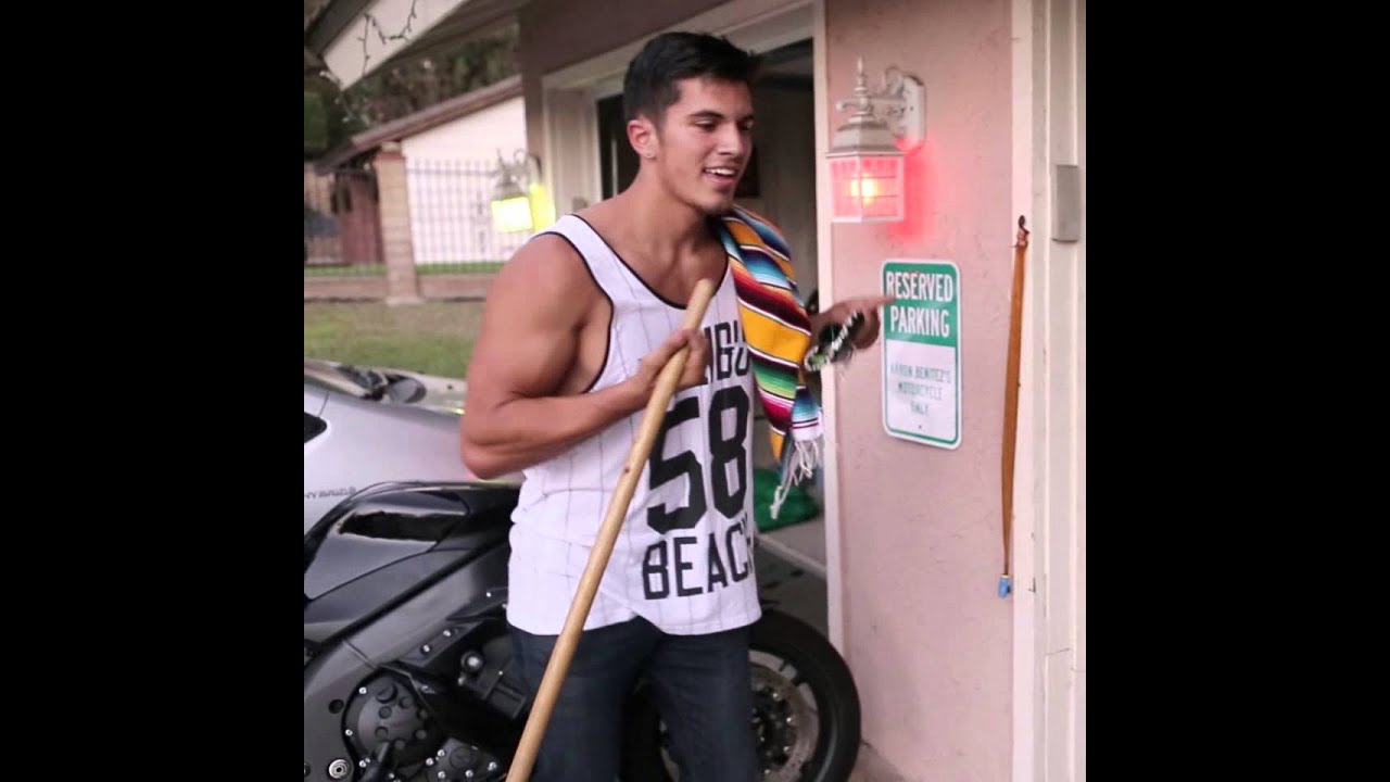 Cat shows off salsa moves in unexpected dance performance